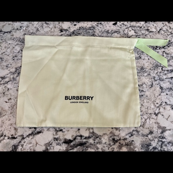 Burberry | Other | Burberry New Light Green Small Dust Bag | Poshmark